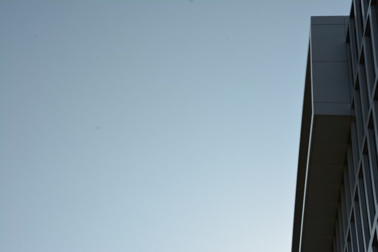 The History of Bat Bombs: A Unique World War II Weapon