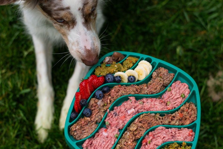 Comparing Dog Food Digestibility: Data Revealed