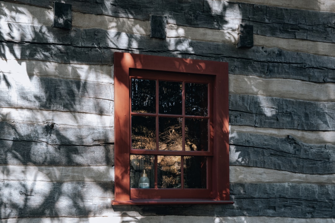 The History of Teddy Bear Window Displays