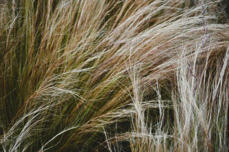 Identifying PPD Hair Dye Allergy Symptoms