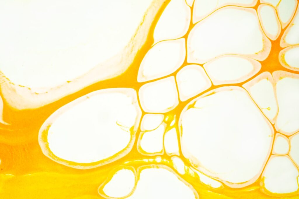 Brominated Vegetable Oil: A Concern in Citrus Soda